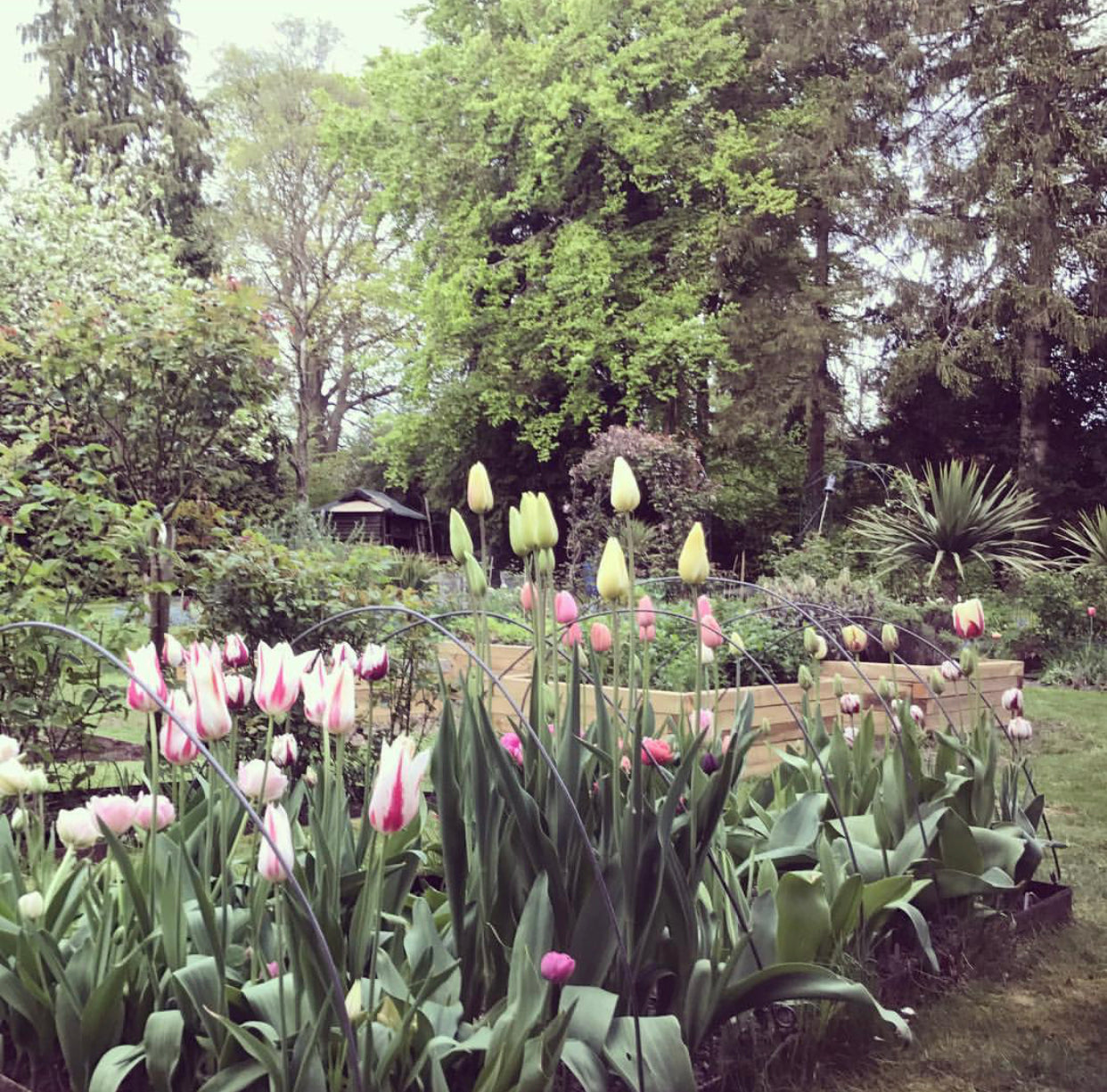 Flower Power – Rachel Riley US